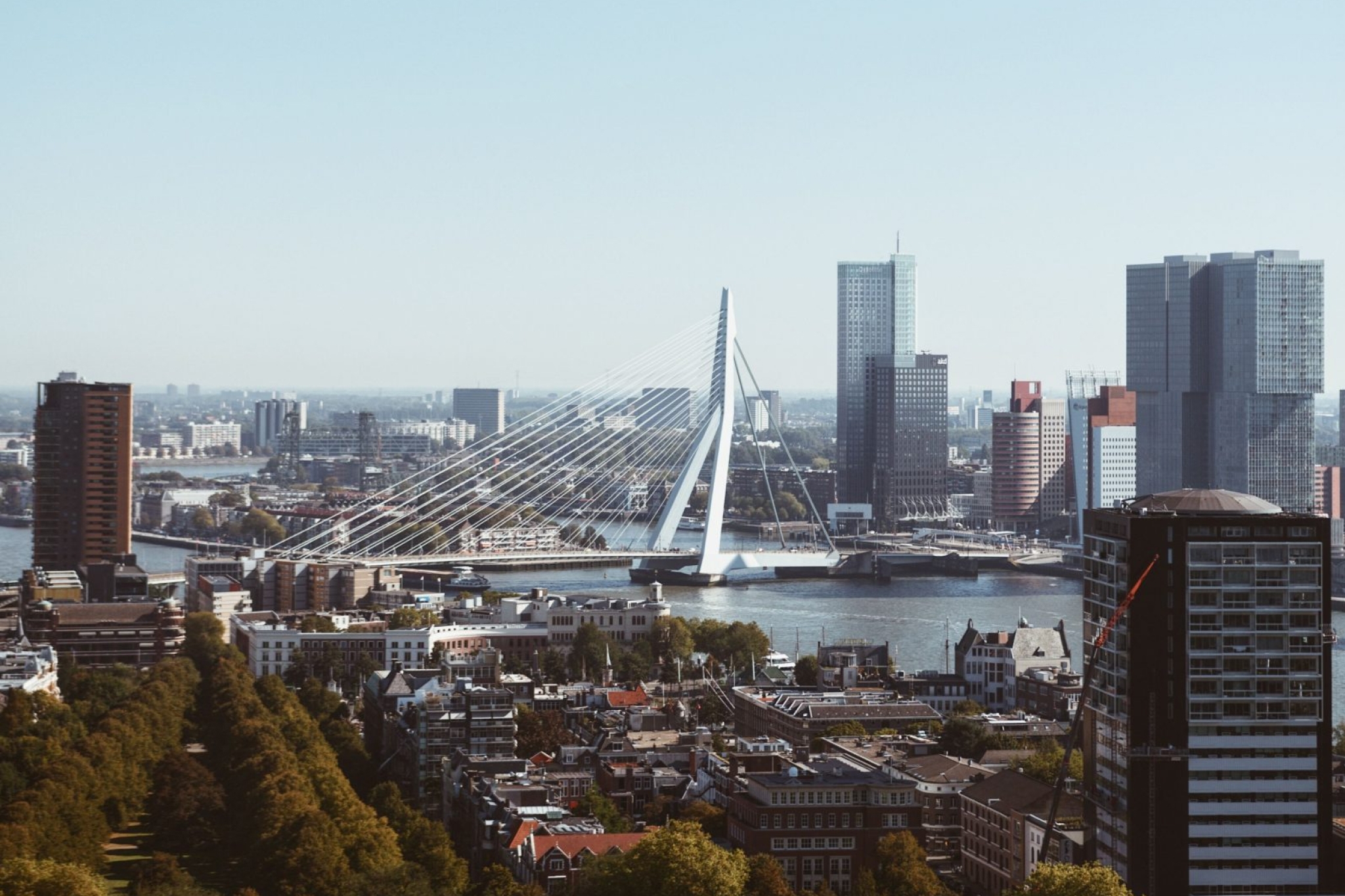 Rotterdam - News - E1 Series